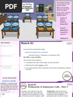 Let em Play God Questions | PDF