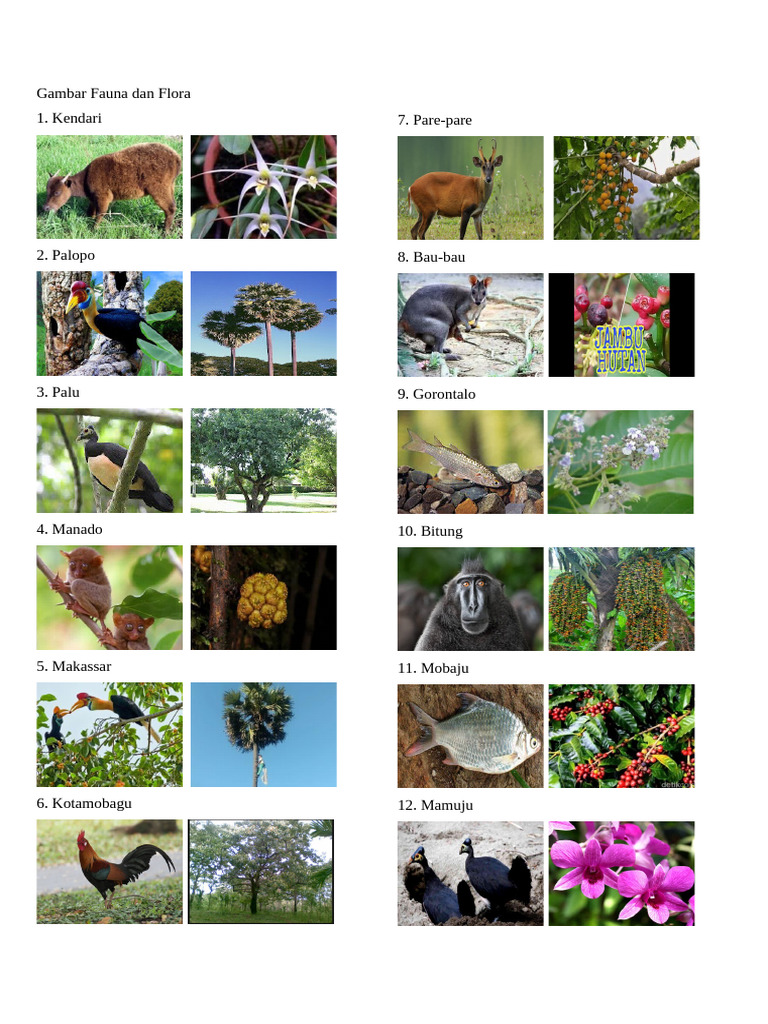 Gambar Fauna dan Flora | PDF