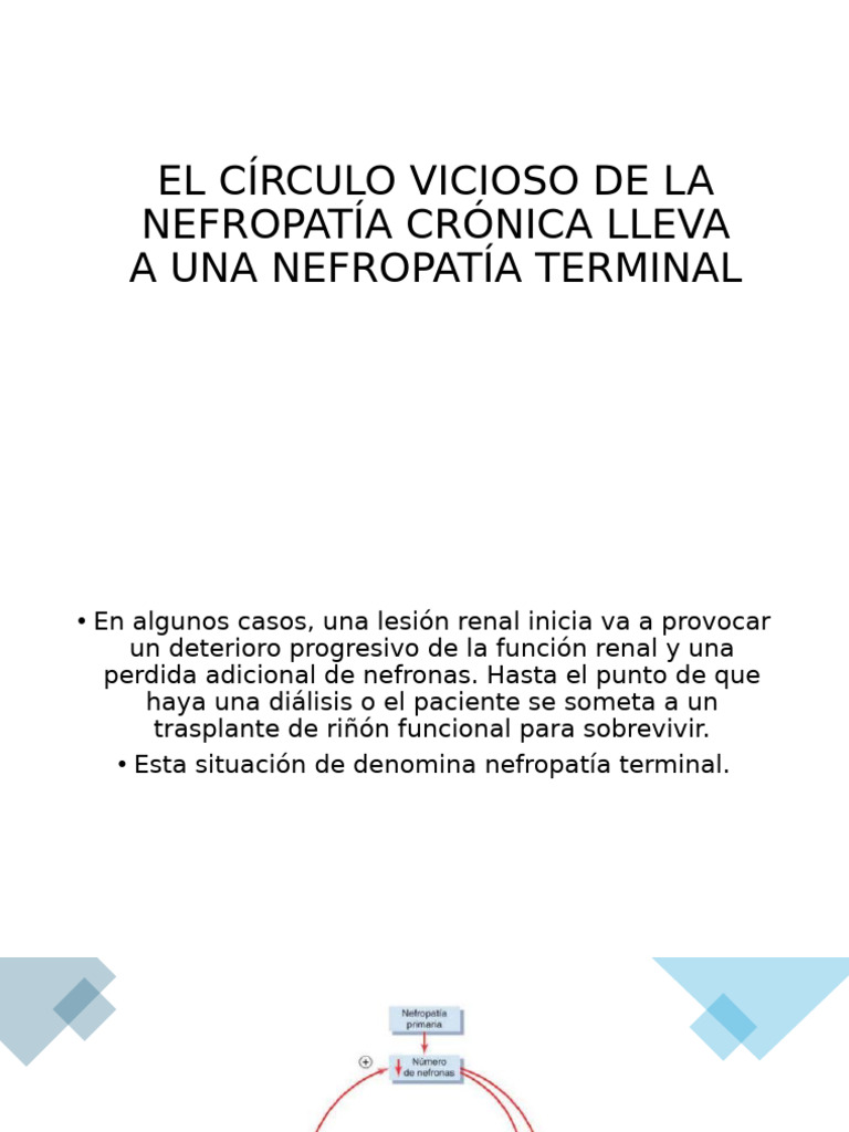 El Círculo Vicioso de La Nefropatía Crónica Lleva | PDF | Riñón | Enfermedad renal crónica