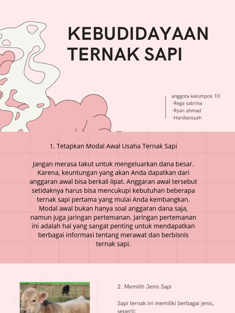 Budidaya Ternak Sapi | PDF