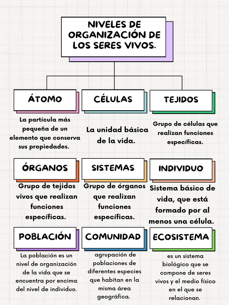 Nivel de Organización de Los Seres Vivos (Mapa Conceptual) | PDF ...