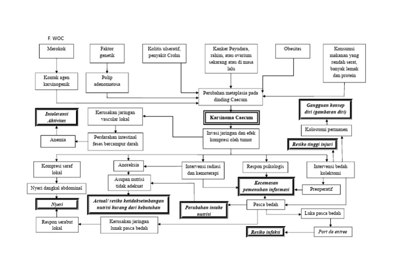 Pdfcoffee.com Pathway CA Caecum | PDF