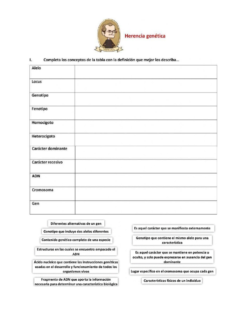 Actividad Conceptos Generales | PDF