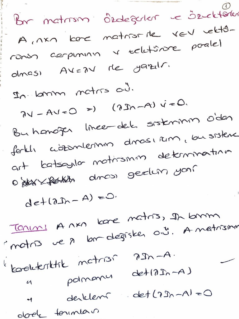 Bir Matrisin Özdeğerleri Ve Özvektörleri | PDF
