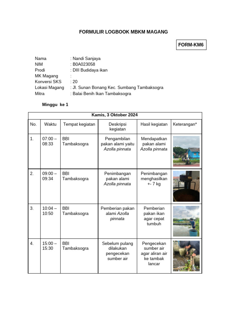 Form-km6. Formulir Logbook Mbkm Magang Nandi Sanjaya-1 | PDF