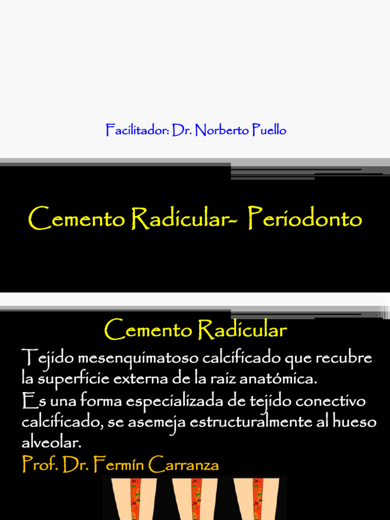 Tipos de Cemento Radicular: Acelular y Celular | PDF | Ramas de ...