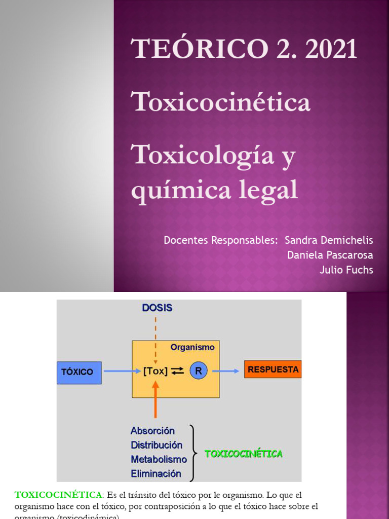 Toxicologia Toxicocinetica 2021 | PDF | Toxicidad | Biotransformación