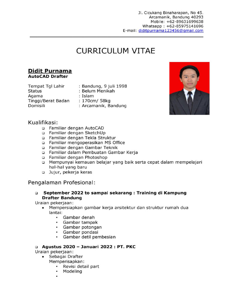 CV Didit Purnama | PDF