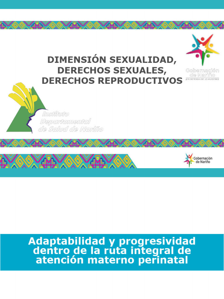 Adaptabilidad y Progresividad RIA Materno Perinatal | PDF | Parto | Control de la natalidad