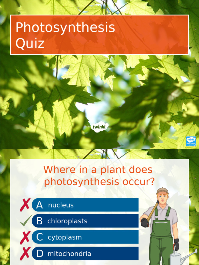 t4 SC 746 Photosynthesis Quick Quiz English Ver 2 | PDF | Science ...