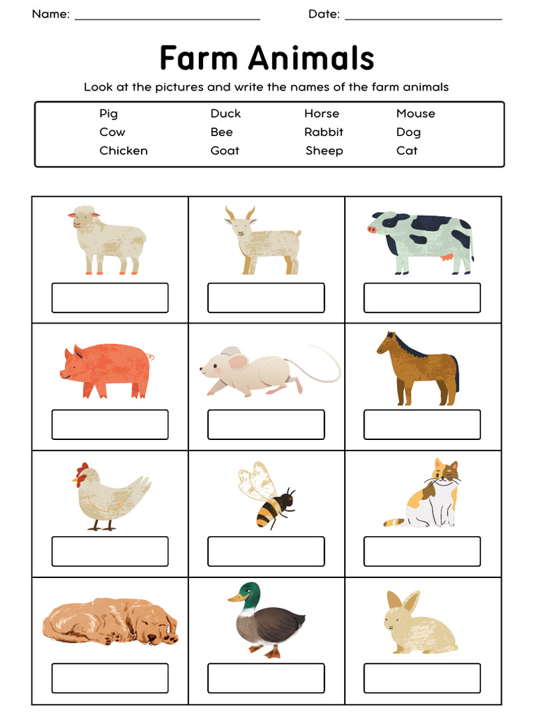 Colorful Farm Animal Science Poster | PDF