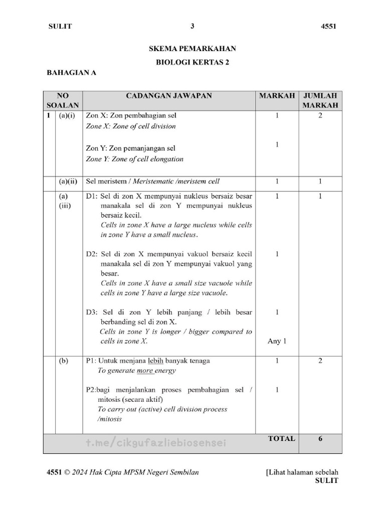 N9 2024 - Skema Bio2 | PDF