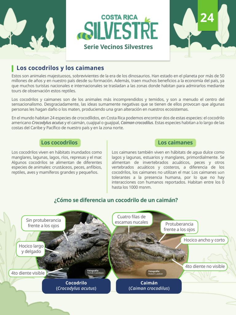 Folleto Caiman Cocodrilo HSI 240926 211732 | PDF | Cocodrilo | Habitat