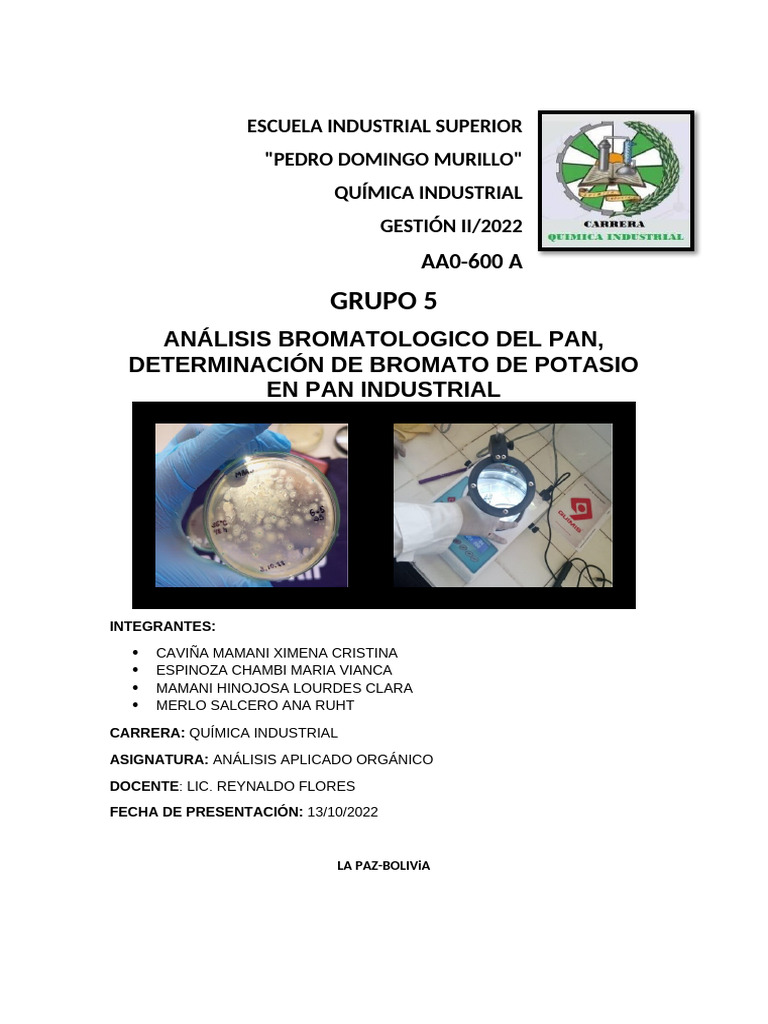 Análisis de Bromato en Pan Industrial | PDF | Panes | Potasio