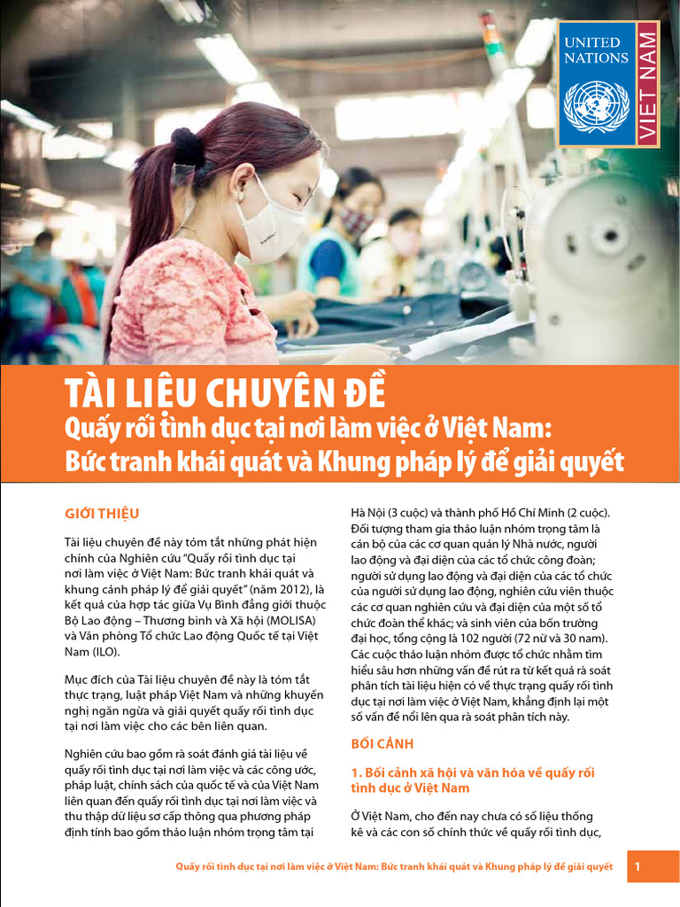 Tai Lieu Chuyen de Quay Roi Tinh Duc Tai Noi Lam Viec o Viet Nam Buc Tranh Khai Quat Va Khung ...