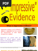 SICAR 6: Shoe and Tyre Evidence System | PDF | Tire | Databases
