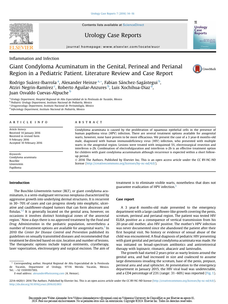 Giant Condyloma Acuminatum in The Genital, Perineal and Perianal | PDF ...