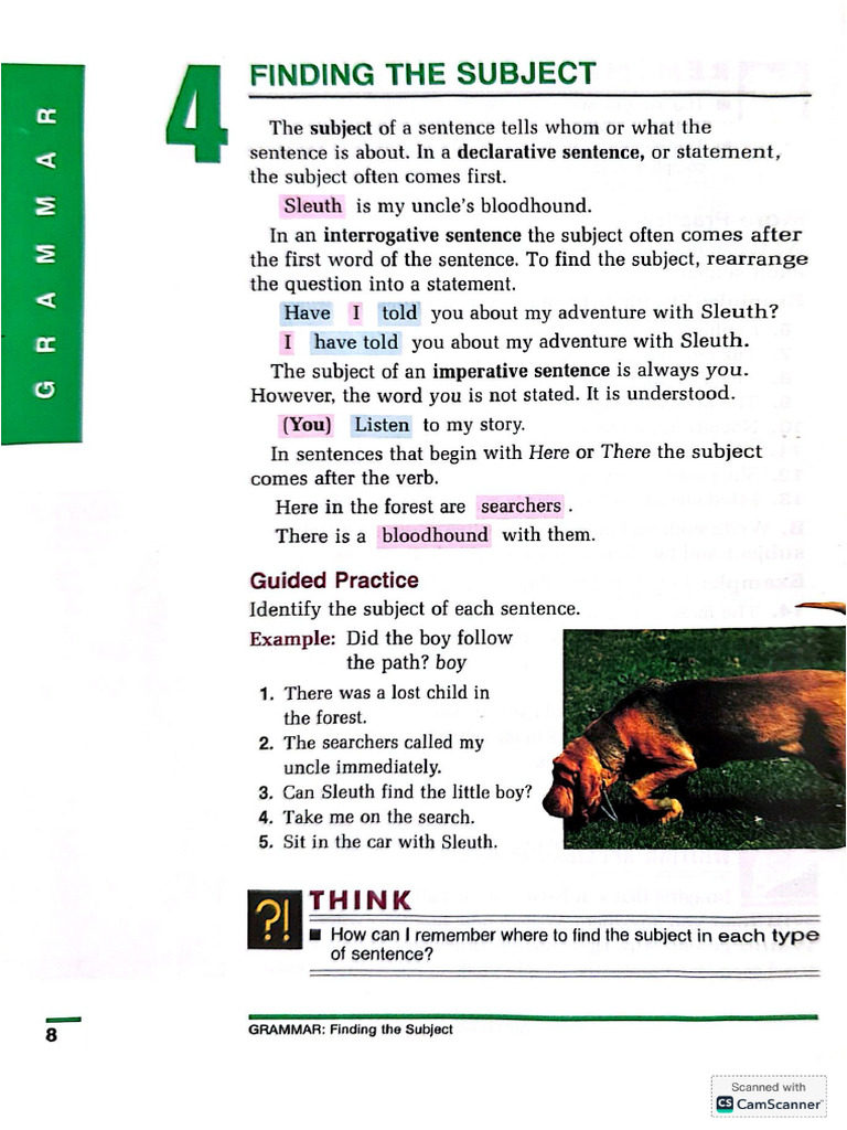 Grammar Practice | PDF