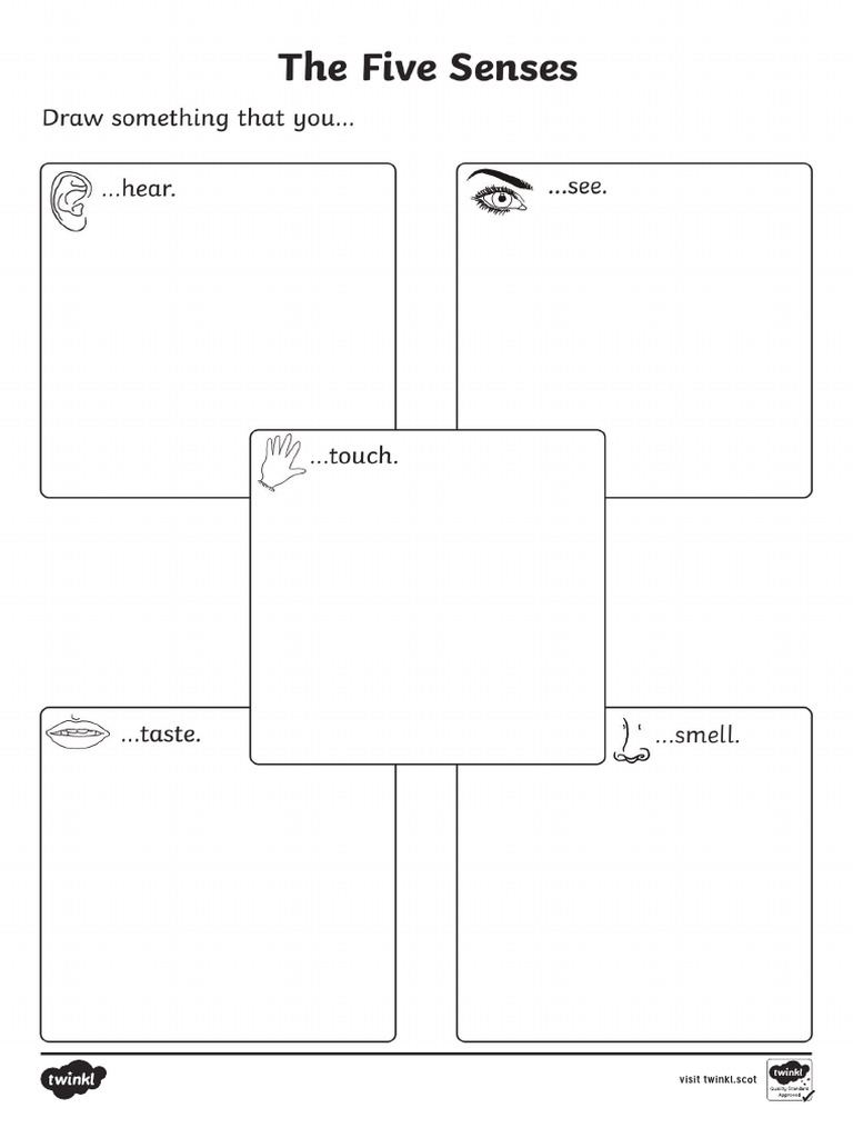 The Five Sense Drawing Activity | PDF