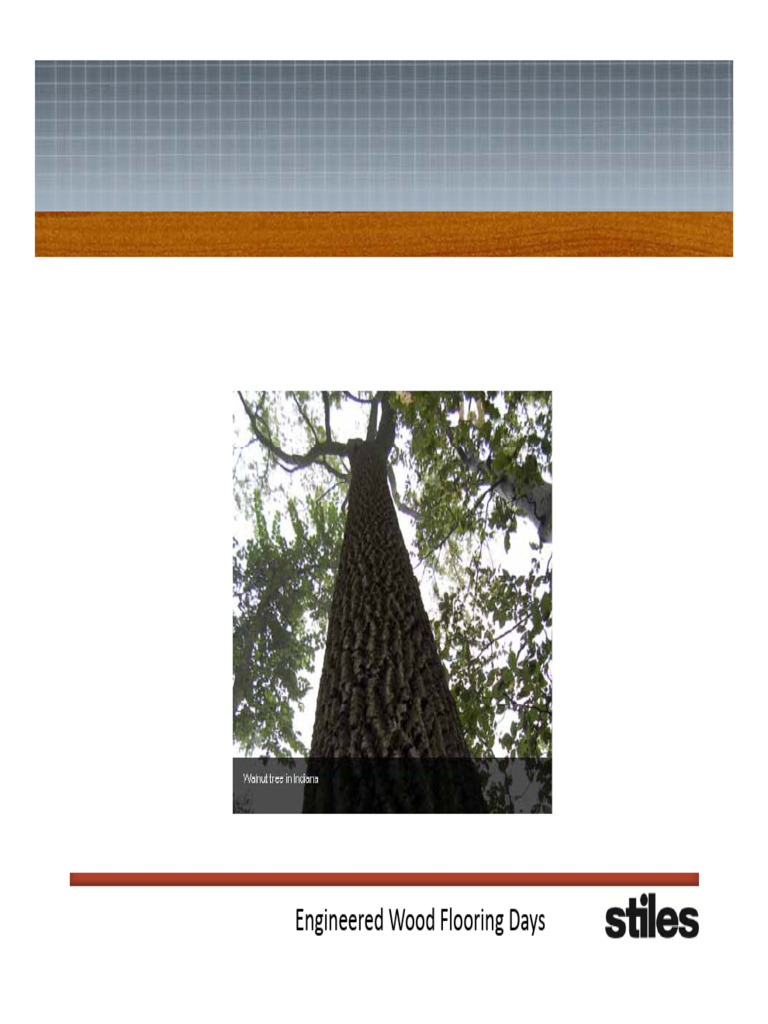Understanding the Veneering Process | PDF | Wood | Wood Veneer