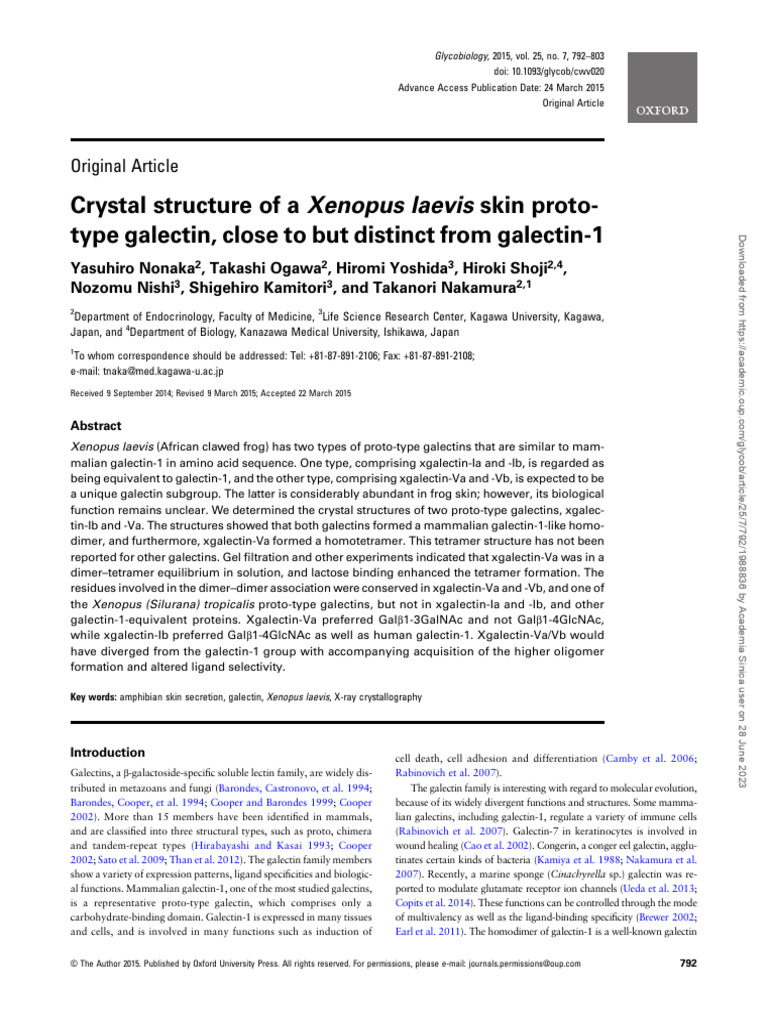 Crystal Structure of A Xenopus Laevis Skin Prototype Galectin, Close To ...