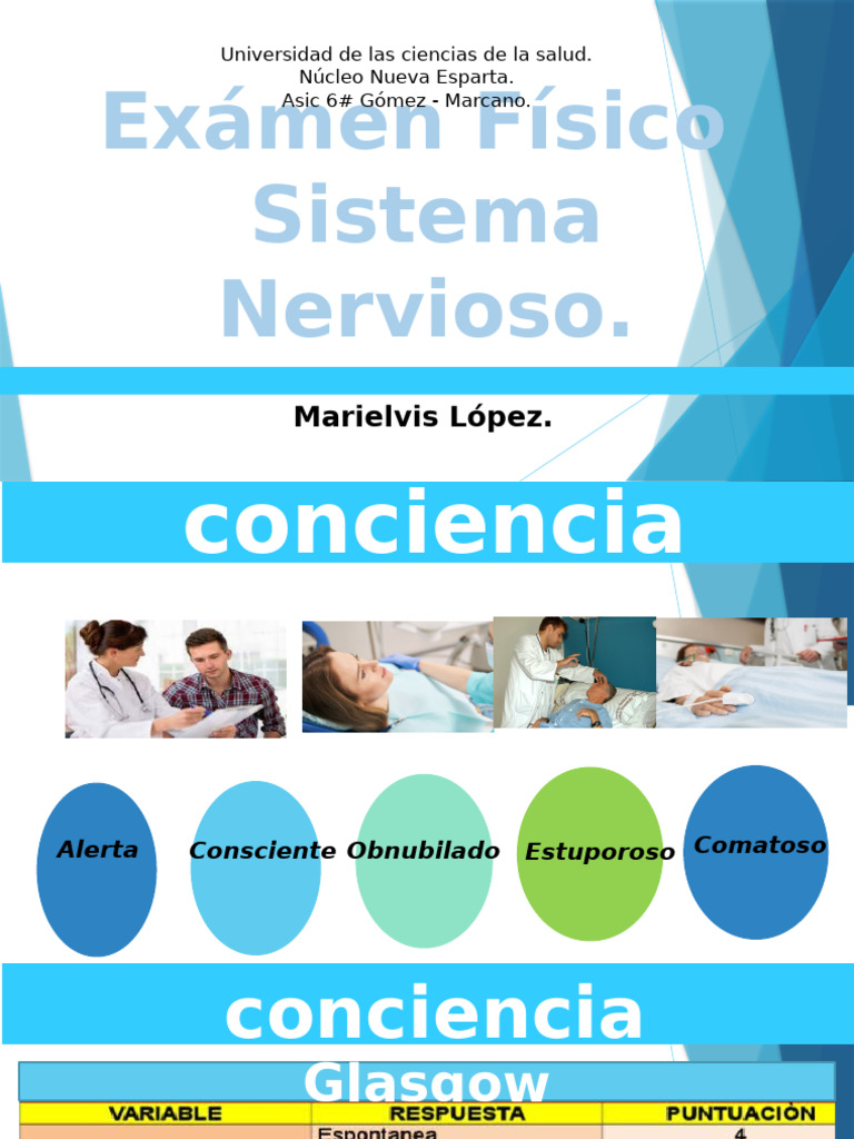 S. Nervioso | PDF | Sistema nervioso | Sistema musculoesquelético