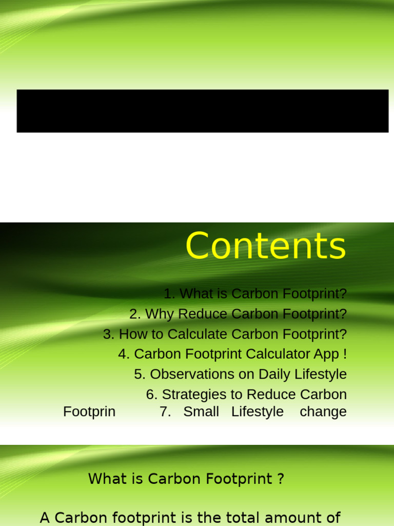 Carbon footprints | PDF