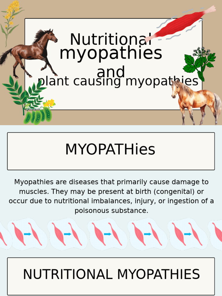 Nutritional Myopathies | PDF | Diseases And Disorders | Clinical Medicine