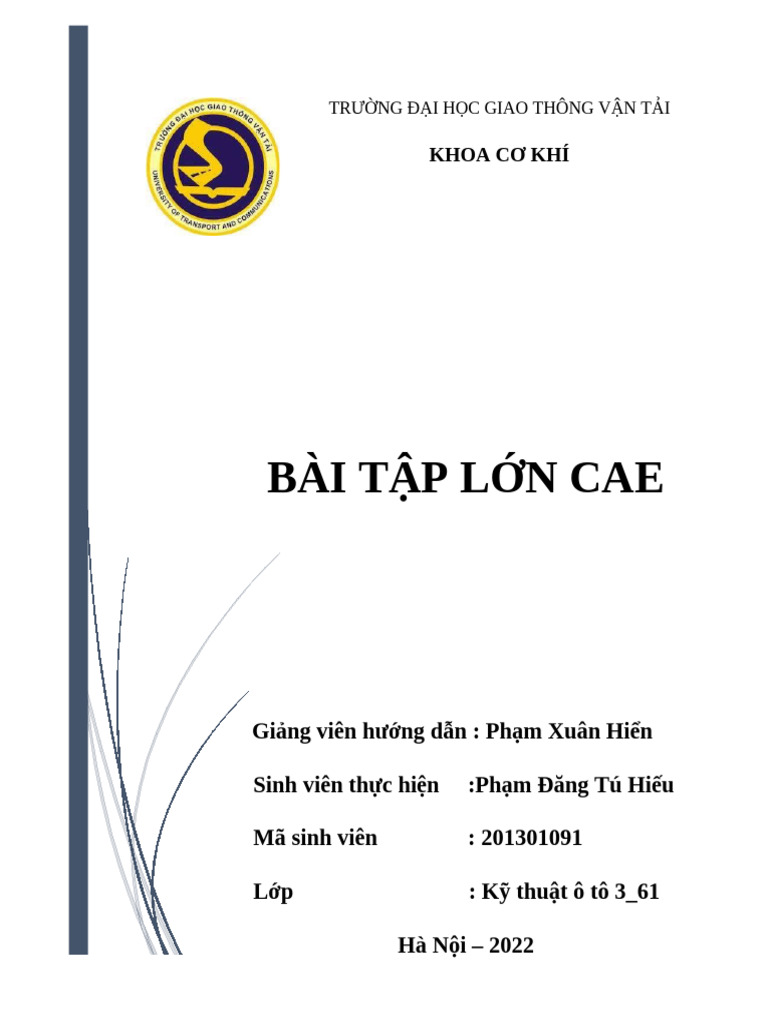 Bài Tập Lớn Cae Của Hiếu | PDF