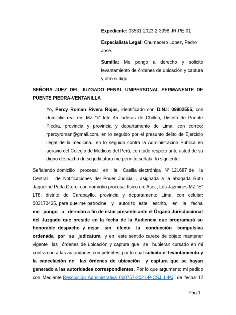 Escrito Señor Percy Roman Rivera Rojas | PDF | Gobierno | Ley Pública