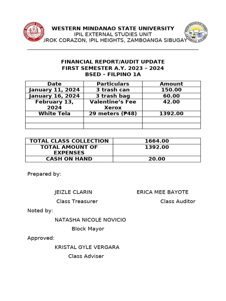 Financial-Report-or-Audit-Update (Final) | PDF | Science & Mathematics