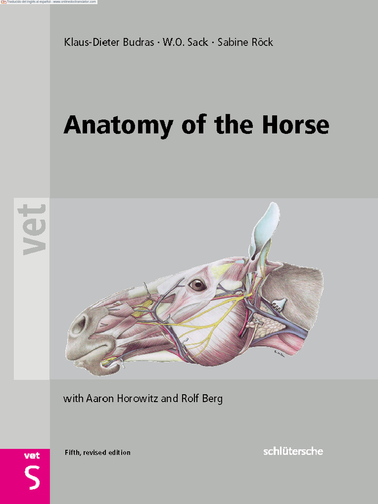 Anatomia Del Equino Budras - Español | PDF | Piel | Epidermis