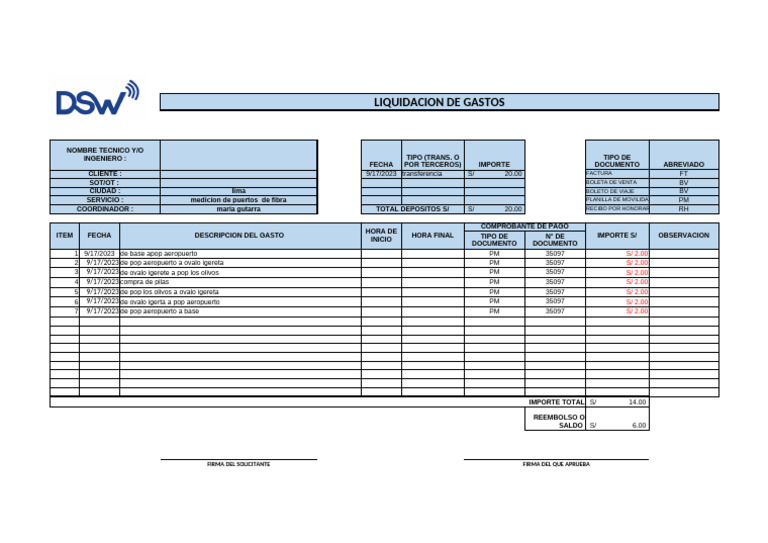 Formato Unico de Liquidaciones DSW - 1 | PDF