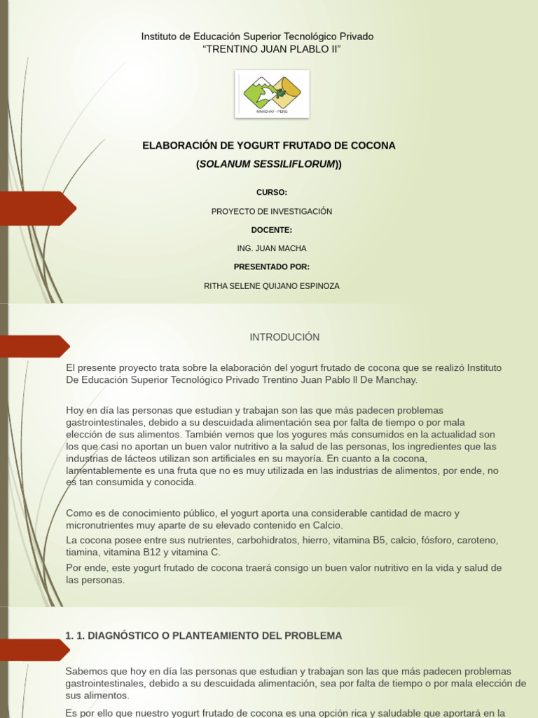 Expo Proyecto Selene | PDF | Leche | Yogur