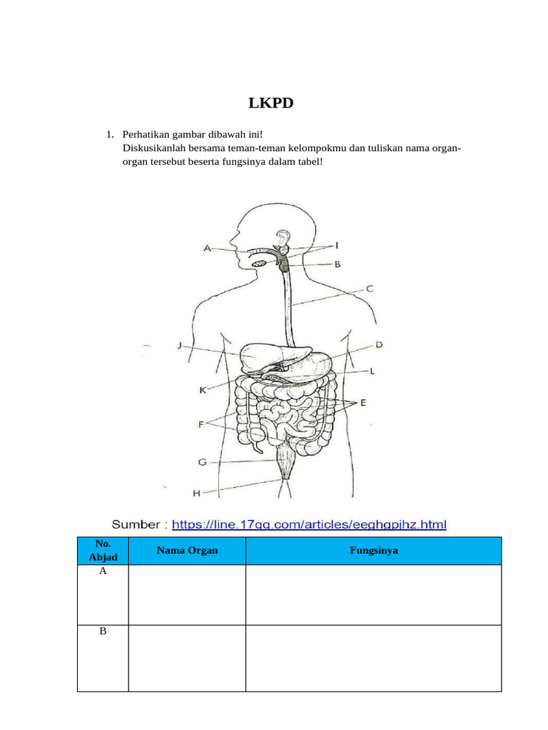 LKPD Pencernaan | PDF | Kesehatan Holistik