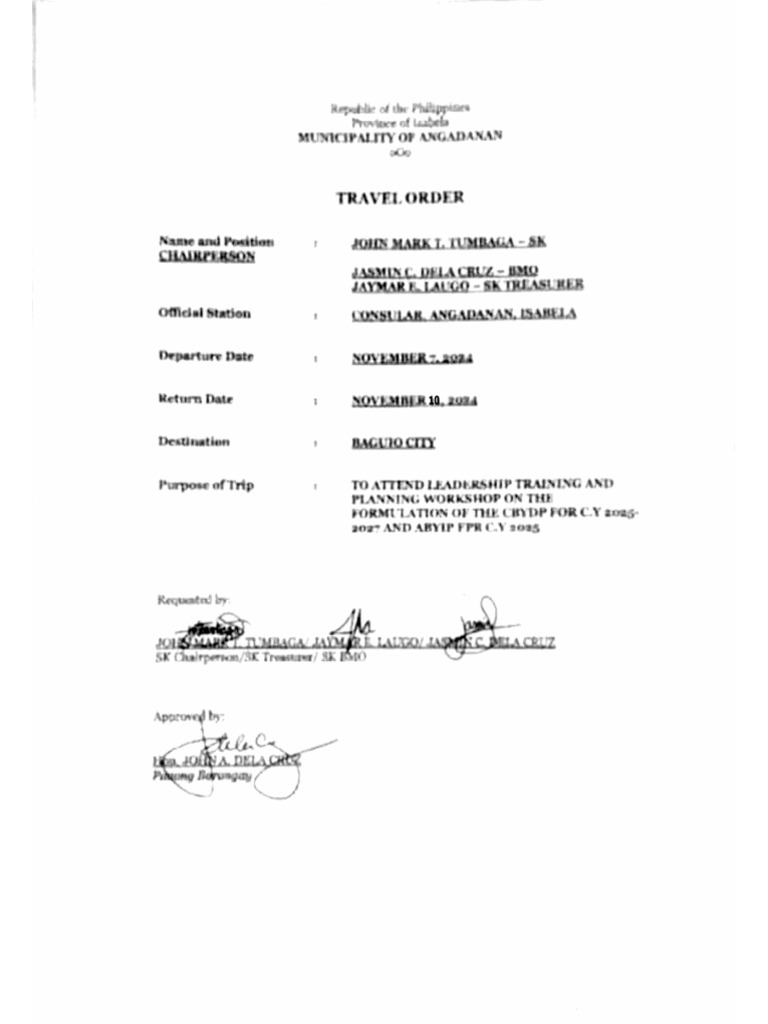 Brgy. Consular Travel Order | PDF