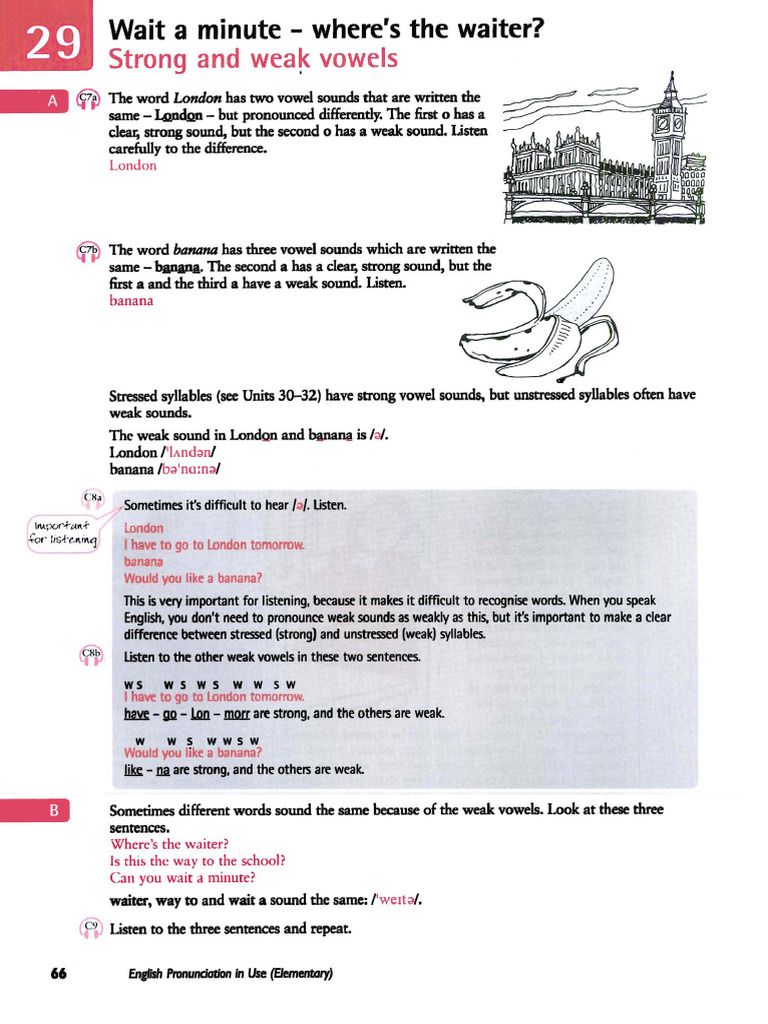 Strong and Weak Vowels | PDF