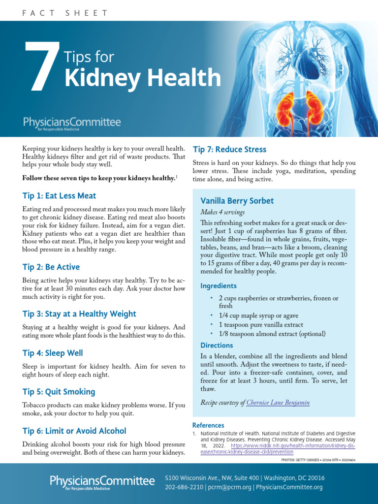 7 Tips For Kidney Health Fact Sheet | PDF | Dietary Fiber | Diet ...