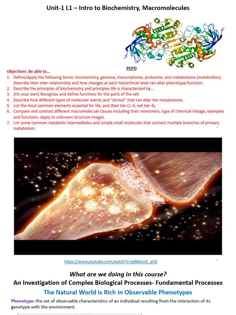 F23 - Unit-1 L1 - Intro To Biochemistry, Macromolecules - SV | PDF | Biochemistry | Chemistry