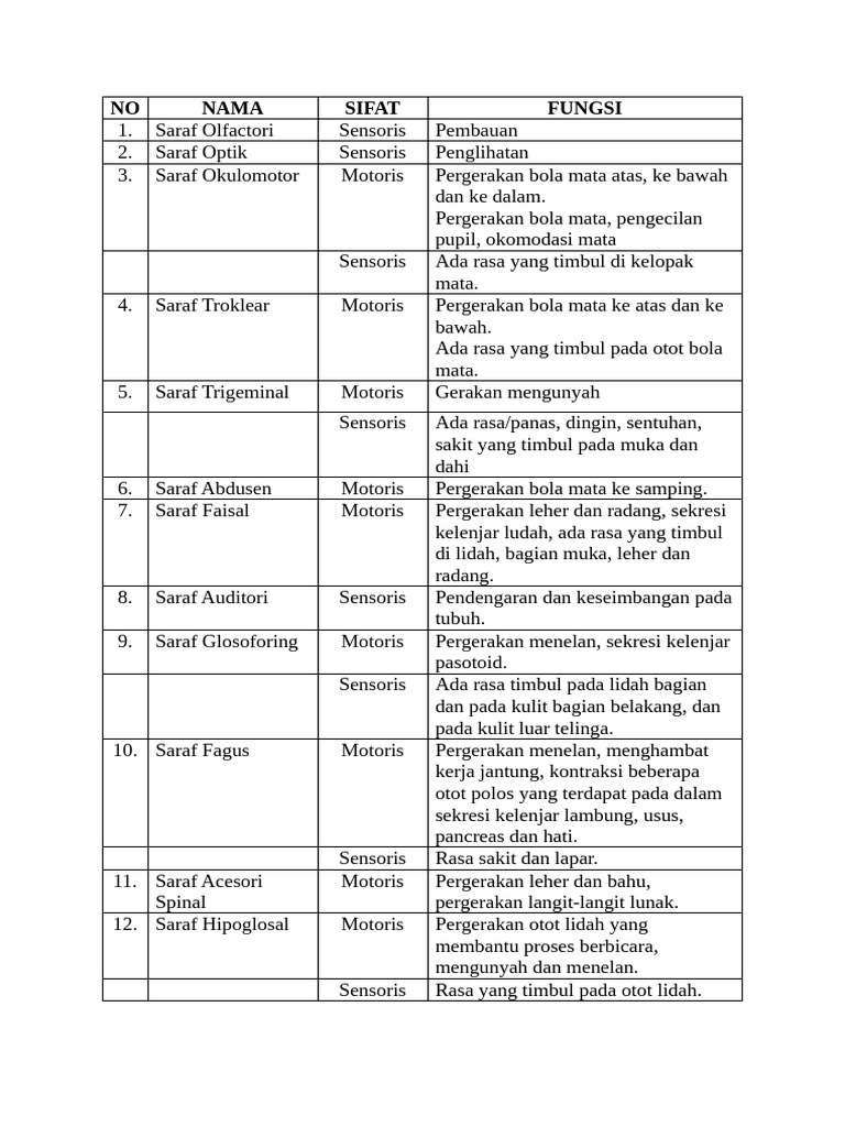 Sistem Saraf Kranial Dan Fungsinya | PDF | Pengembangan Diri