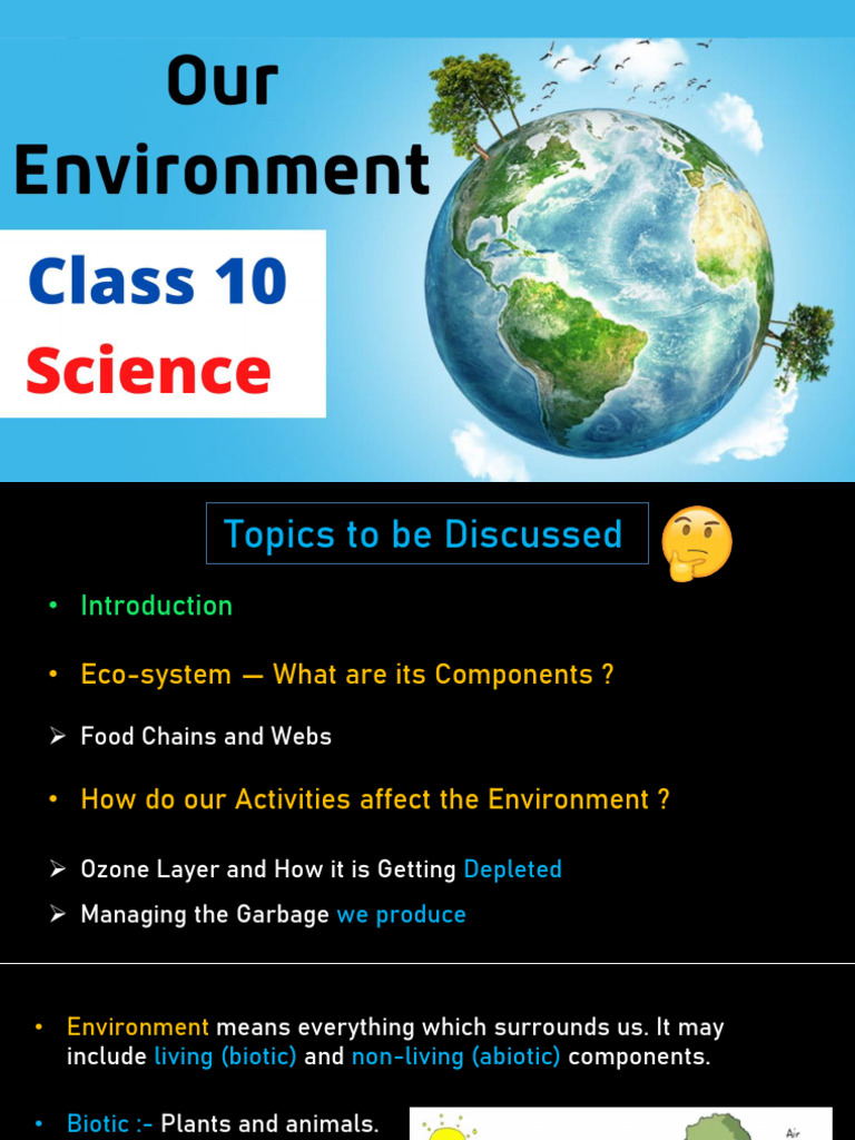 Our Environment Class 10 - Notes | PDF | Ozone Depletion | Ecosystem