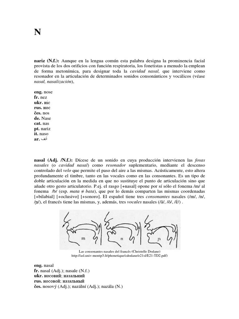 Letra N | PDF | Vocal | Fonología