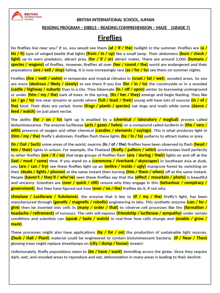2024-10-24 GRADE 7 - MAZE - READING PROGRAM - DIBELS - READING ...