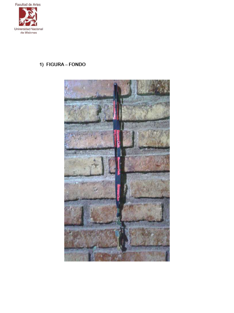 Leyes de La Gestalt - Altamirano Facundo | PDF