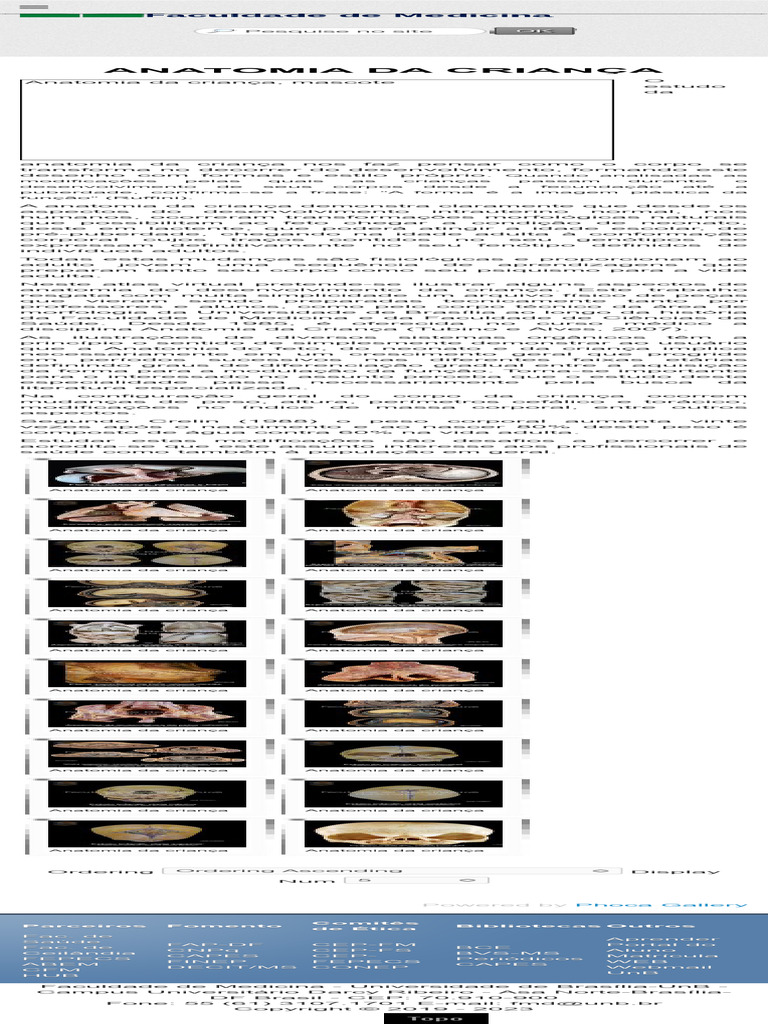 Anatomia Da Criança | PDF | Anatomia
