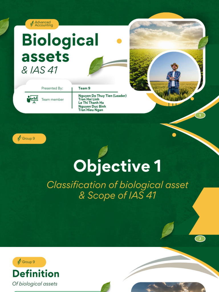 Kế Nâng Cao - Nhóm 9 - Biological Asset | PDF