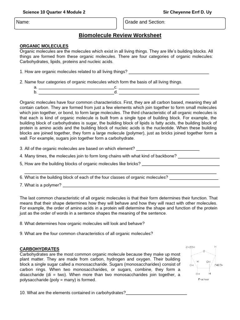 Biomolecule Review Worksheet | PDF | Carbohydrates | Nucleic Acids