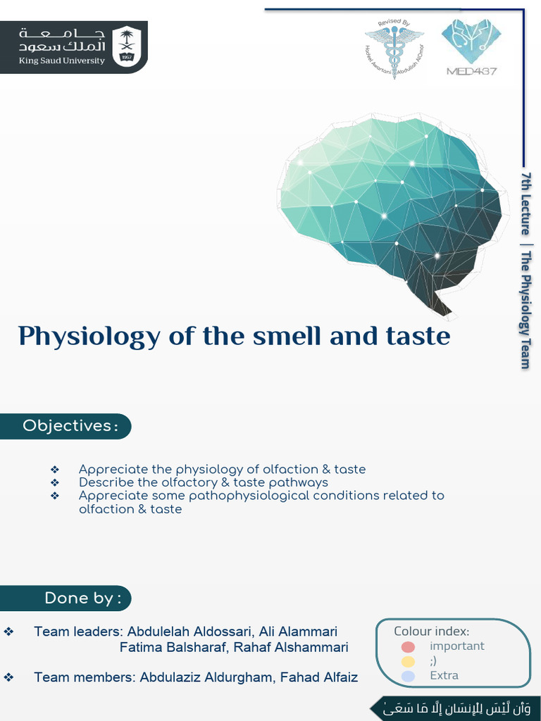 Physiology of Smell and Taste Explained | PDF | Taste | Olfactory System