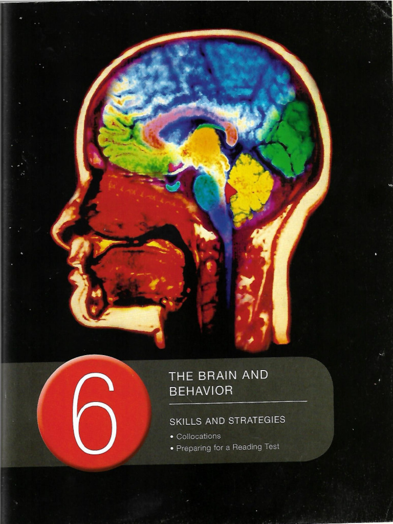 A6 Unit 6 Making Connections 2 | PDF