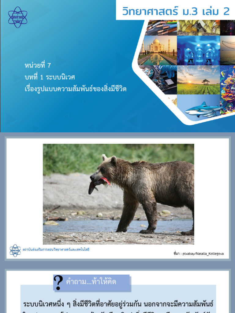 m3b2 U7 01 1interaction 004 PPT PDF | PDF